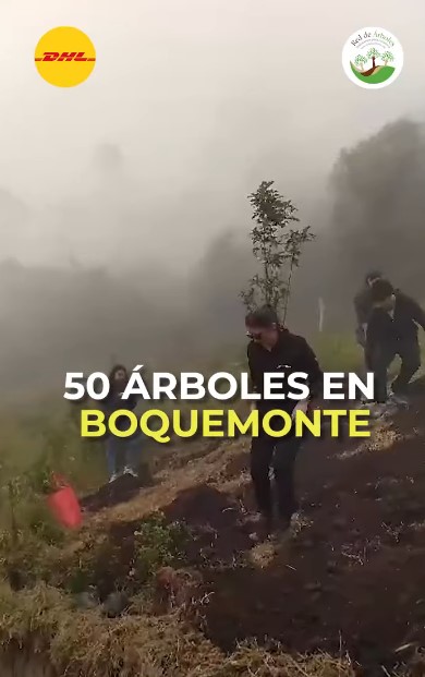 ¡Un aplauso a @dhl_globalforwarding!