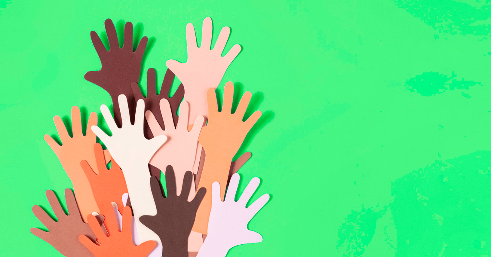 ¿Cuáles son las ONG más fiables?