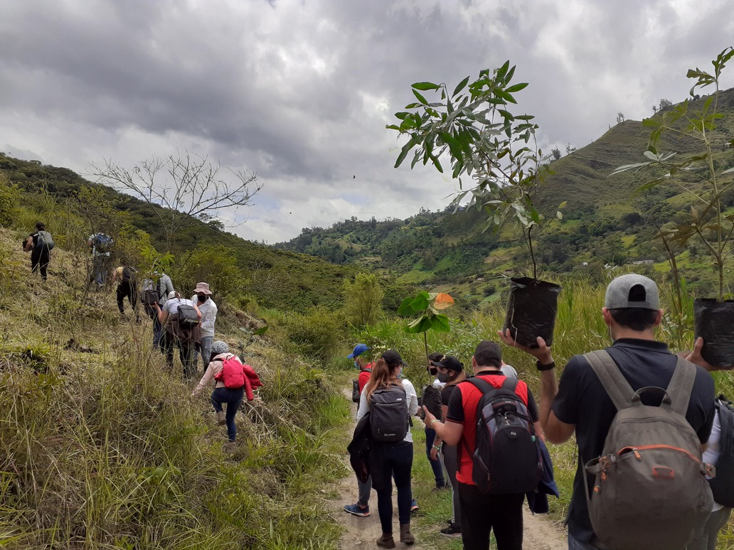 Puffer Colombia en Choachí