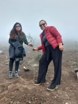 Siembra con Phoenix Tower International