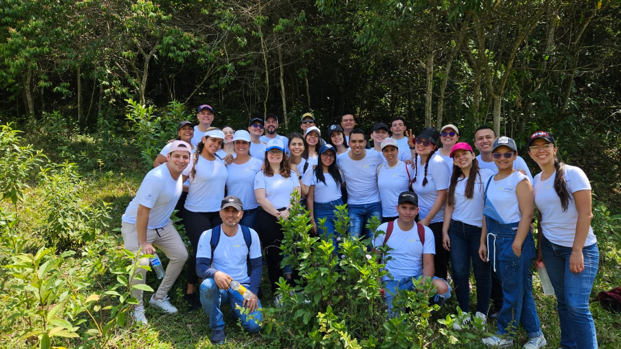 COTEL SAS - CALI, VALLE DEL CAUCA