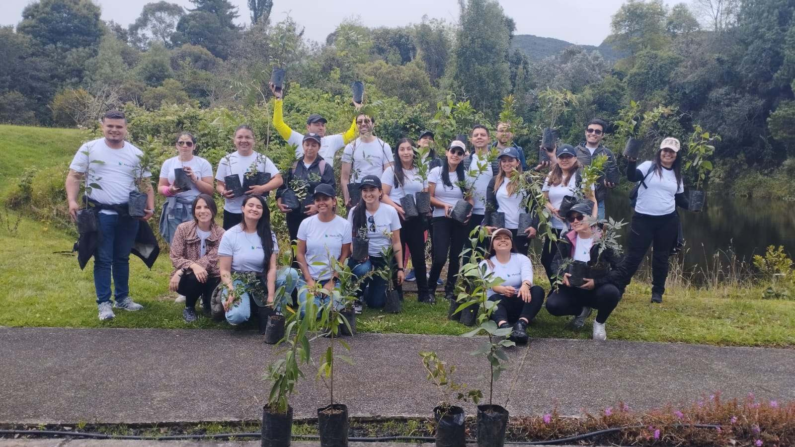 METLIFE COLOMBIA SEGUROS DE VIDA SA - LA CALERA, CUNDINAMARCA