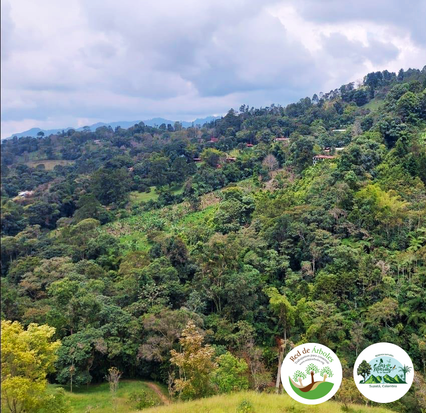 Reserva natural Las Marias, Supatá