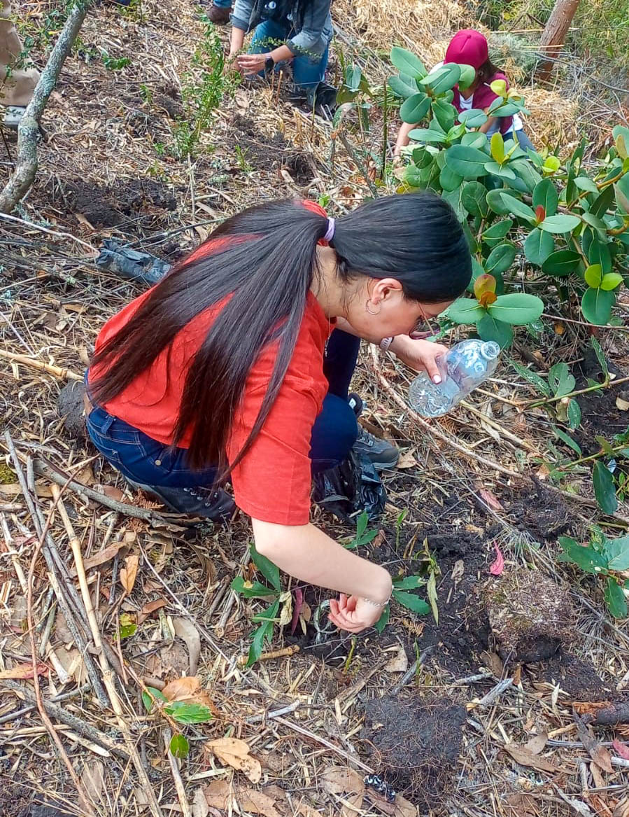 Forus Colombia SAS en Cota, Cundinamarca