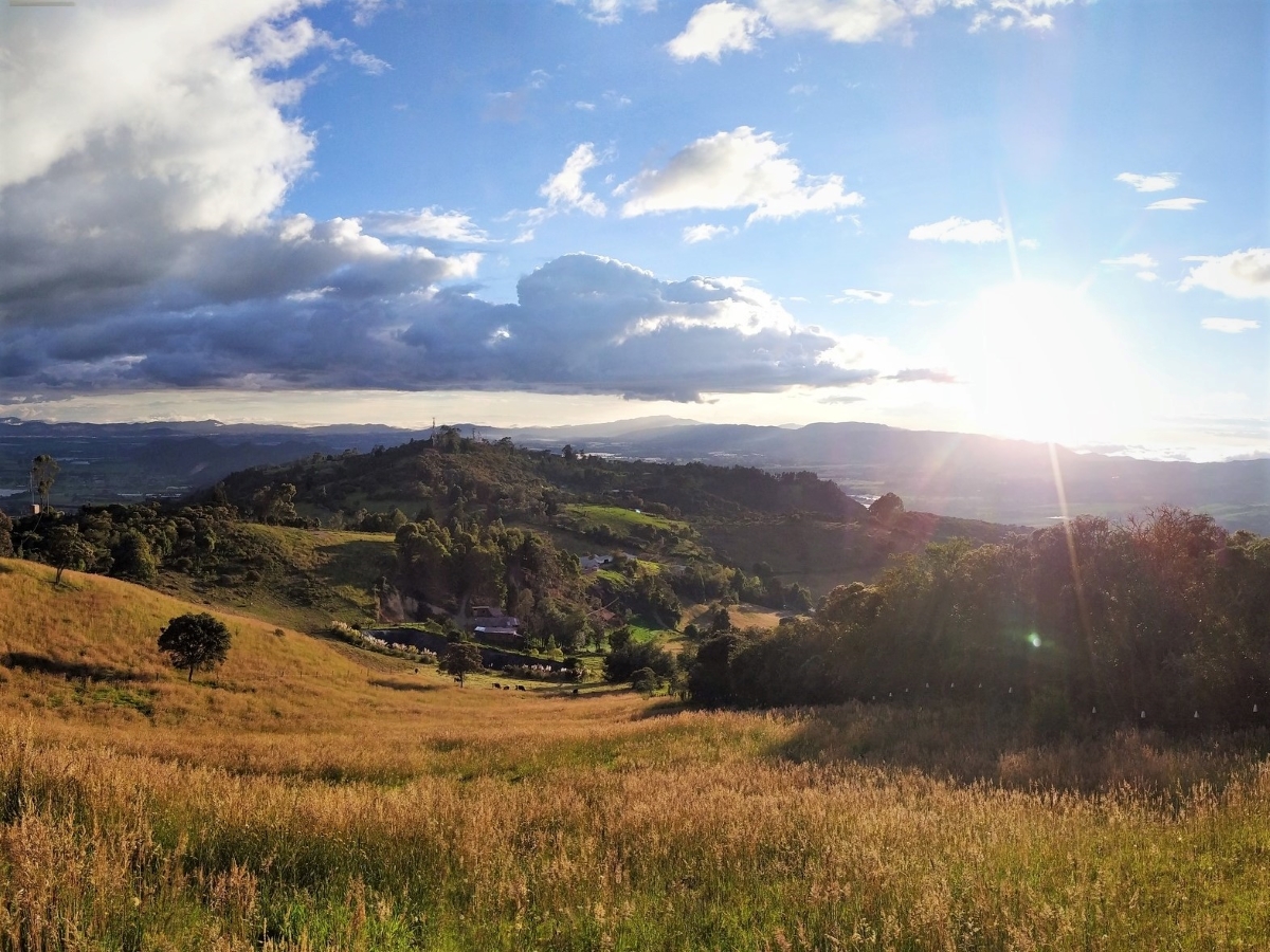 Reserva Natural Forest of Orchids,Tenjo, Cundinamarca