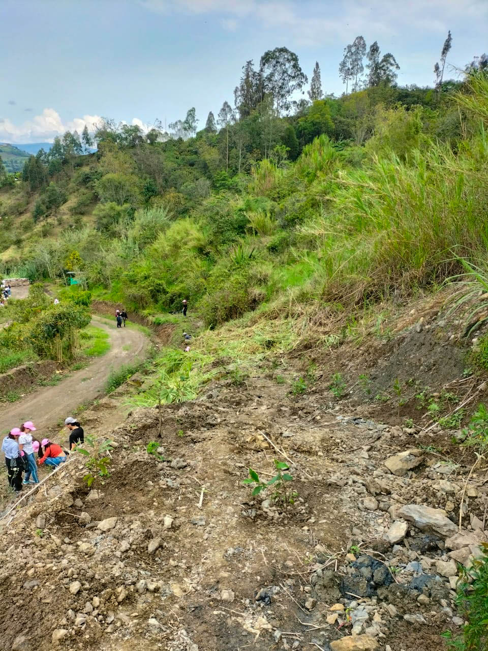 Trendier Colombia SAS en Choachí, Cundinamarca